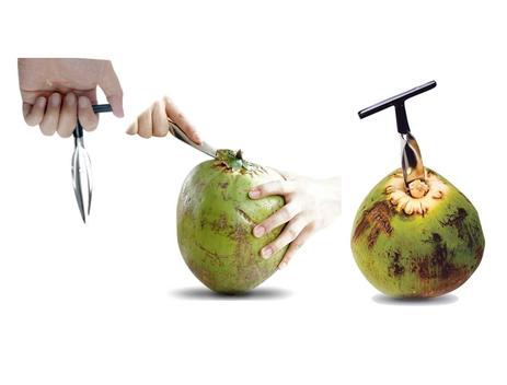 Fura Coco Abre Coco Profissional Aço Inox Cabo furador - wMIX ...