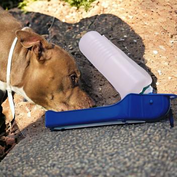 Garrafinha Para Passeio Com Cachorro Pet Garrafa Squeeze - Lazer e ...