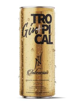 Gin Ice Intencion + Tropical Coquetel Lata 300Ml - Drinks Prontos ...