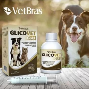 Glicovet Gold 120ml - Suplemento Vitamínico - Vetbras - Vitaminas e ...