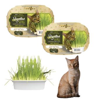 Grama Gato Para Digestão E Elimina Bola De Pelo 55g 2 Un - grama de ...