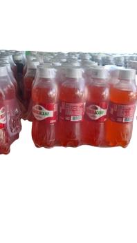 Guaracamp Laranja Guarana Natural 250Ml 12 Unidades - Refrigerante ...