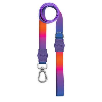 Guia Premium Padang Dog Trip Brasil - P - Coleira para Cachorro ...