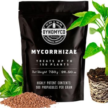 Inoculante micorrízico DYNOMYCO Plant Growth Root Treatment 340g - Mel ...