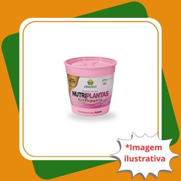 Kit 1 Muda de Goiaba Tailandesa + Vaso Redondo T:06 + Casca de Pinus ...