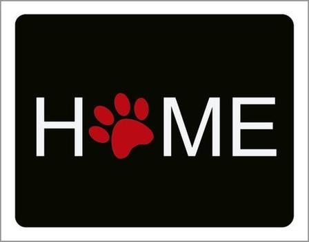 Kit 10 Placas Home Patinhas 36X46 - Sinalizo - Placa de Sinalização de ...