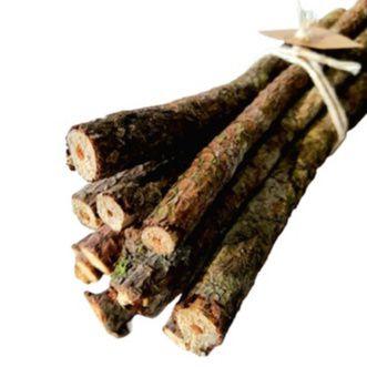 Kit 12 Gravetos (galho) Natural de Madeira Pinus Diâmetro entre 1,0 a 2 ...