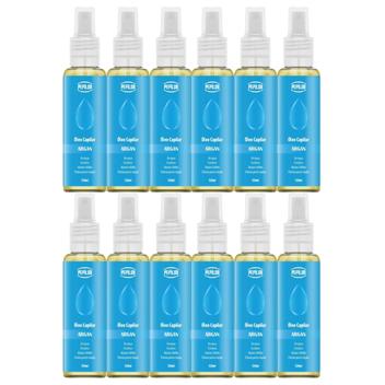 Kit 12 Óleo De Argan Reconstrução Capilar 120Ml - Pepilon - Kit de ...