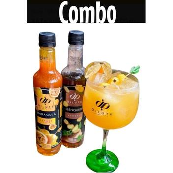 Kit 2 Dilute Premium 500ml Todos Sabores Você Escolhe O Sabor - Xarope ...