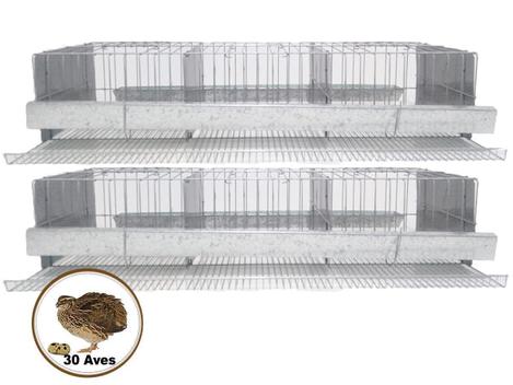 Kit 2 Gaiola Codorna Postura Poedeira 3 Divisão - 30 Aves - Ddn Agropet ...