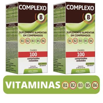 Kit 2 Suplemento De Vitaminas Complexo B 100 Comprimidos Arte Nativa ...