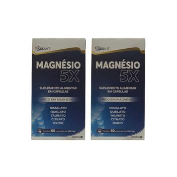 Kit 2x Magnésio 5 em 1 500mg com 60 cápsulas - Geovit - Ômega 3 / Óleo ...
