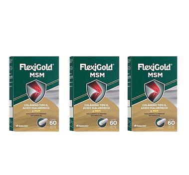 Kit 3 Flexigold Msm Colágeno Tipo 2 + Ácido Hialurônico - Herbamed ...