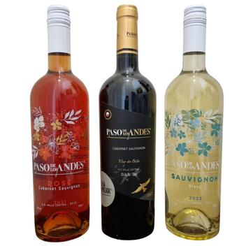Kit 3 vinhos paso de los andes tinto rose e branco - S&P IMPORTADORA ...