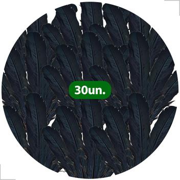 Kit 30un Pena de Passaro Agbe Africano Para Ritual Candomble Espiritual ...