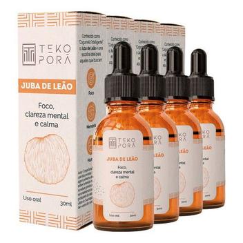 Kit 4 Extratos Juba De Leão - Hericium Erinaceus 60ml - NoBrand ...