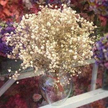 Kit 4 Mini Buquês Gypsophila (mosquitinho) - Floricultura Frutaflor ...
