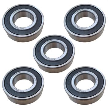 Kit 5 Rolamento Inferior Lavadora Electrolux Lm06 Top8 6205 - Brazan ...