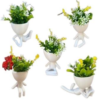 Kit 5 Vasinhos Suculentas Robert Bbb Bob Planta Decoração - Sns3D ...