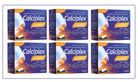 Kit 6 Calciplex Colágeno Tipo II 40Mg com 60Cps - Ecofitus - Colágeno ...