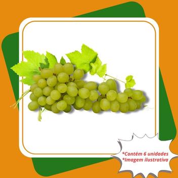 Kit 6 Mudas de Uva Niágara Branca Enxertada Vitis Labrusca Niagara ...