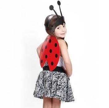 Kit Adereços e Acessórios de Joaninha Festa Pic Nic - 08 unidades ...