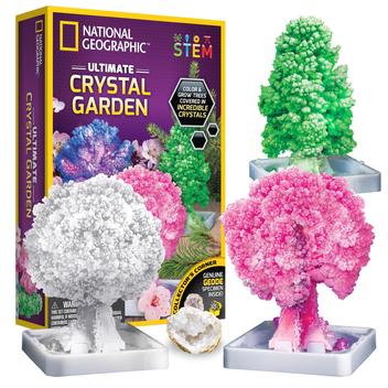 Kit artesanal NATIONAL GEOGRAPHIC Crystal Growing com projeto de arte ...