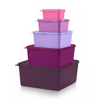 Kit Basic Line 5 Peças Armazenagem Refrigerador Quadradas Tupperware ...