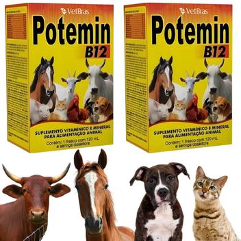 Kit C/2 Potemin B12 Suplemento Mineral e Vitamínico 120ml para Cães ...