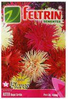 Kit c/ 20PT Semente Flor Aster Buque Sortida 311 - Feltrin - Buquê de ...