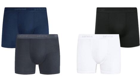 Kit C/4 Cuecas Boxer Modal Selene - Cueca - Magazine Luiza