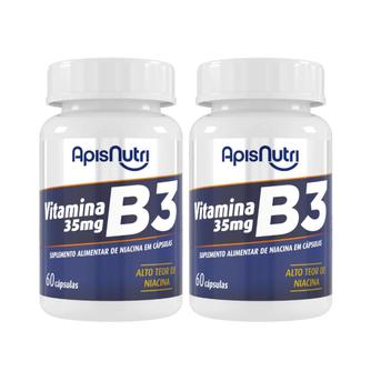 KIT COM 2 Suplemento de Vitamina B3 280mg 60 Cáps ApisNutri - Vitaminas ...