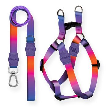 Kit Guia Premium + Peitoral Americano Padang Dog Trip Brasil - Peitoral ...