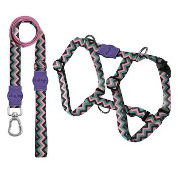 Kit Guia Premium + Peitoral Smart Poipu Dog 1810 - Dog Trip Brasil ...