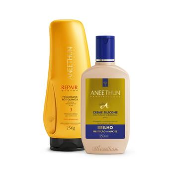 Kit Protetor Térmico Capilar - Aneethun - ANEETHUN PROFISSIONAL ...