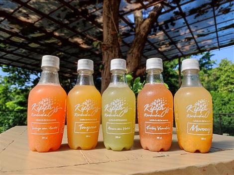 Kombucha - Chá fermentado probiótico - bebida gaseificada naturalmente ...