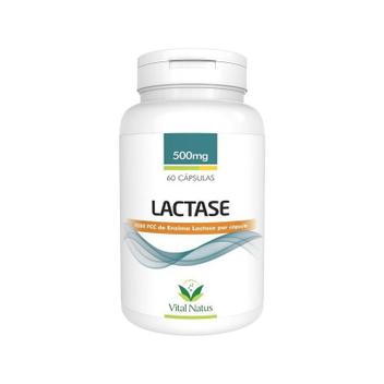 Lactase - 60 Cápsulas (500mg) - Vital Natus - Lactase - Magazine Luiza