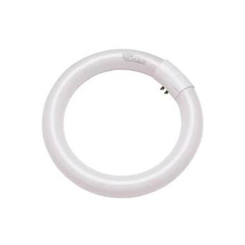 Lâmpada Circular Fluorescente 10647 Taschibra 32W - Lâmpada ...
