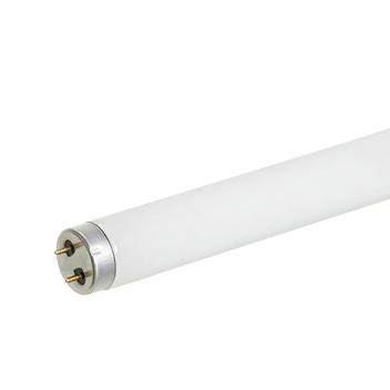 Lâmpada Fluorescente Tubular T8 18w Branco Frio 6500K - IMPORTADA (SEM MARCA) - Lâmpada Tubular ...
