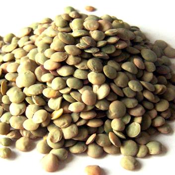 Lentilha inteira em grãos Total Food Pacote 1 Kg - Farinha - Magazine Luiza