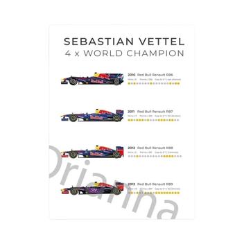 Lewis Hamilton Ayrton Senna F1 Campeão Mundial Infográfico Arte Em Tela ...