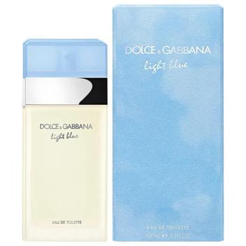 Light Blue D&G Feminino Eau De Toilette 100Ml - Perfume Feminino ...