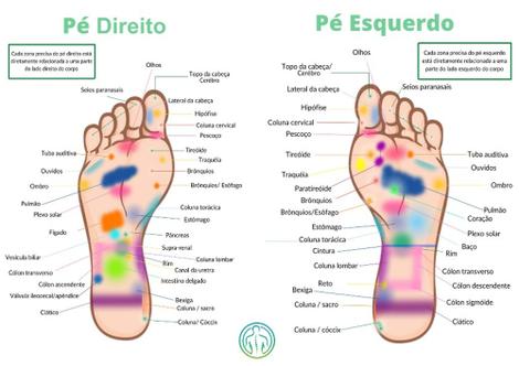 Mapa Reflexologia Podal Áreas Correspondente Dos Pés Plastificado - BH ...