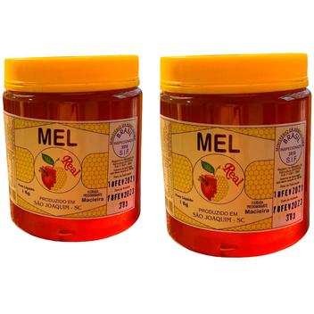 Mel De Abelha Puro Da Serra Catarinense Florada Macieira 2kg - REAL ...