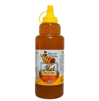 Mel de Abelhas Puro - 1 Kg - Silvestre de Flores do cerrado - Armazém ...