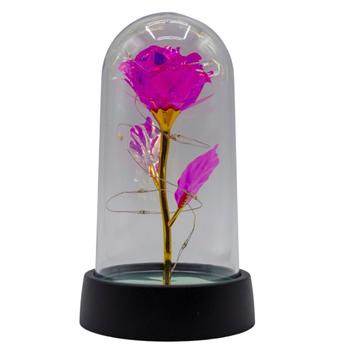 Mini Flor Encantada Decorativa Redoma Cúpula LED Presente AA0530 - FWB ...