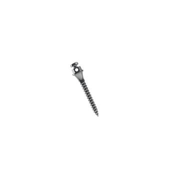 Mini Parafuso Ancoragem Absolut 10X2M 2Un 37.10.203 Morelli - Parafuso ...