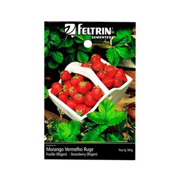 Morango Vermelho Ruge - 50mg - Feltrin Sementes - Sementes - Magazine Luiza