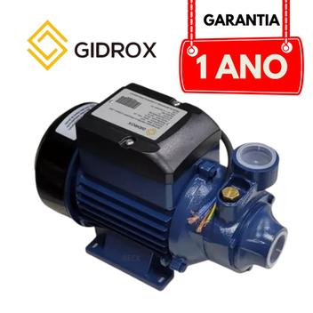 Motobomba Periférica 1/2hp Bp60 Lepono Gidrox 127v - Motobomba / Bomba D'água - Magazine Luiza