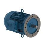 Motor eletrico weg w22 ir3 premium 0,50cv 4p trif.2/3v 60hz b5e/cç71 ...